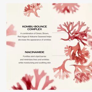 Shiseido | Makeup | 8 Full Weekend Cosmetics Counter Display Shiseido ...